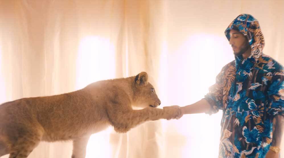 Seyed ist zurück - Das erste Musikvideo ist online! - Raptastisch